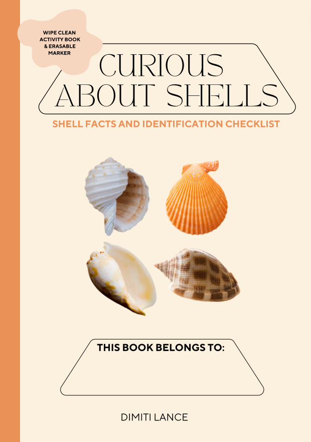 Products – Curious About Shells